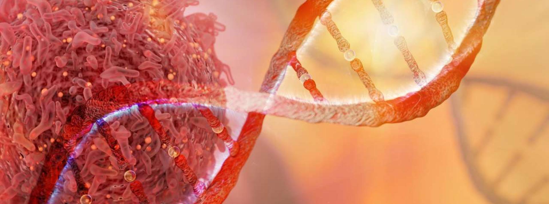 New Study Uncovers Genetic Drivers of Aggressive Prostate Cancer | UCLA ...